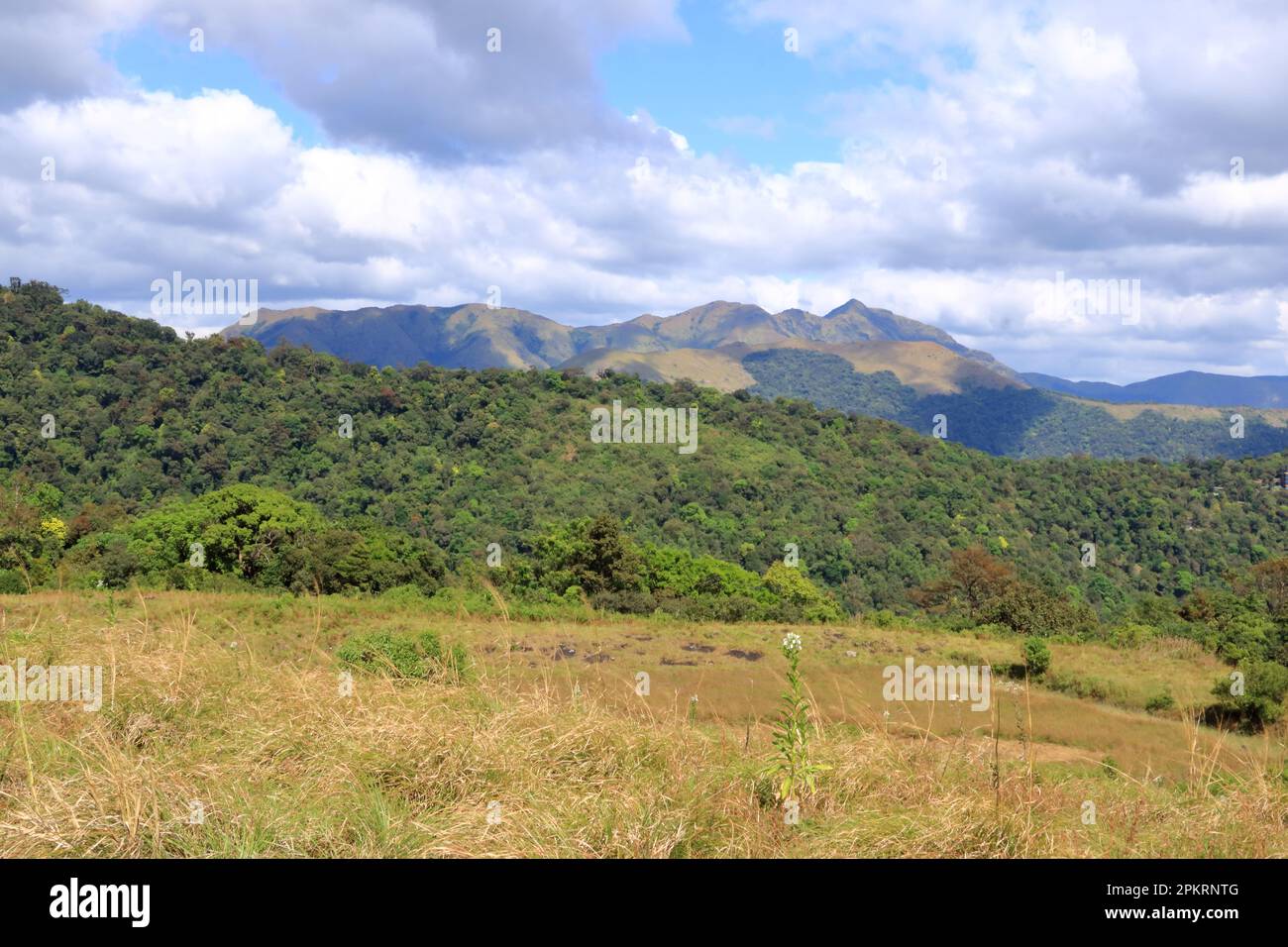 the view of the southern tip of the mighty western ghats. Paithalmala ...