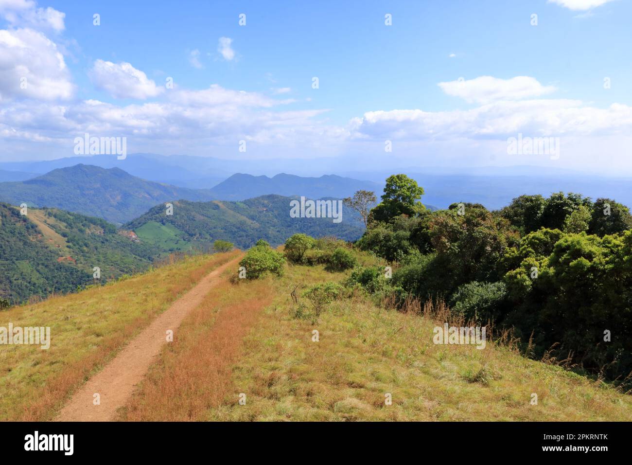 the view of the southern tip of the mighty western ghats. Paithalmala ...