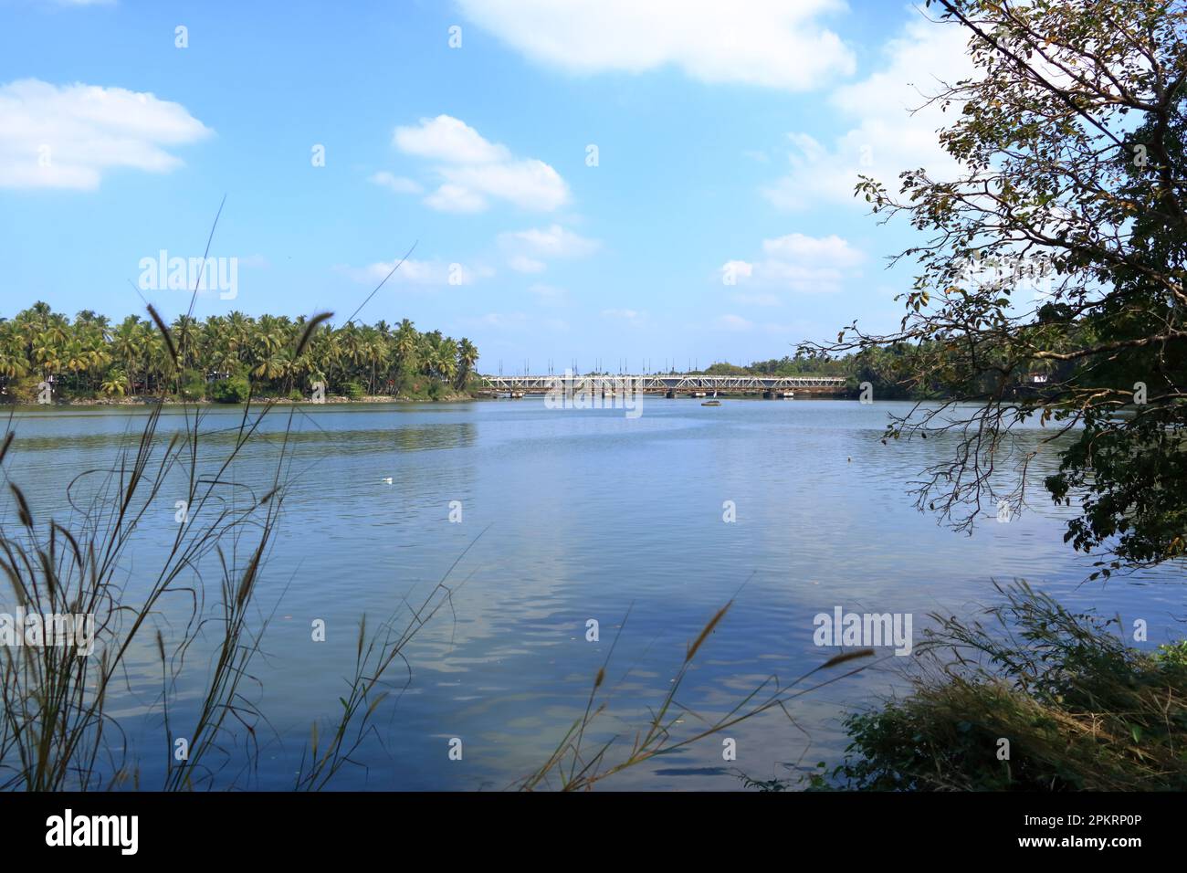 the lake and backwaters behind Dharmadam beach in Kannur, Kerala in ...