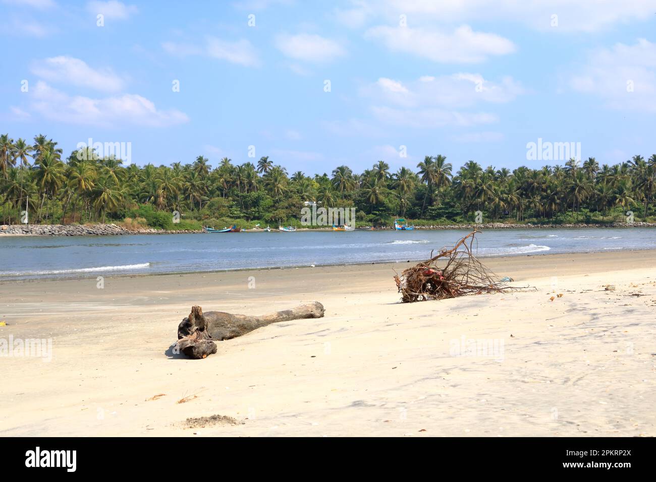 the lake and backwaters behind Dharmadam beach in Kannur, Kerala in ...