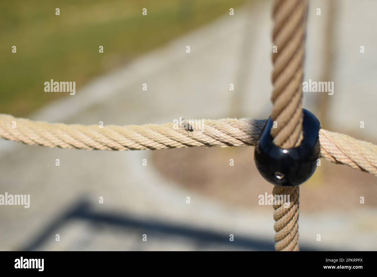 Rope, rope net, children's playground, sea rope, sailing Stock Photo ...
