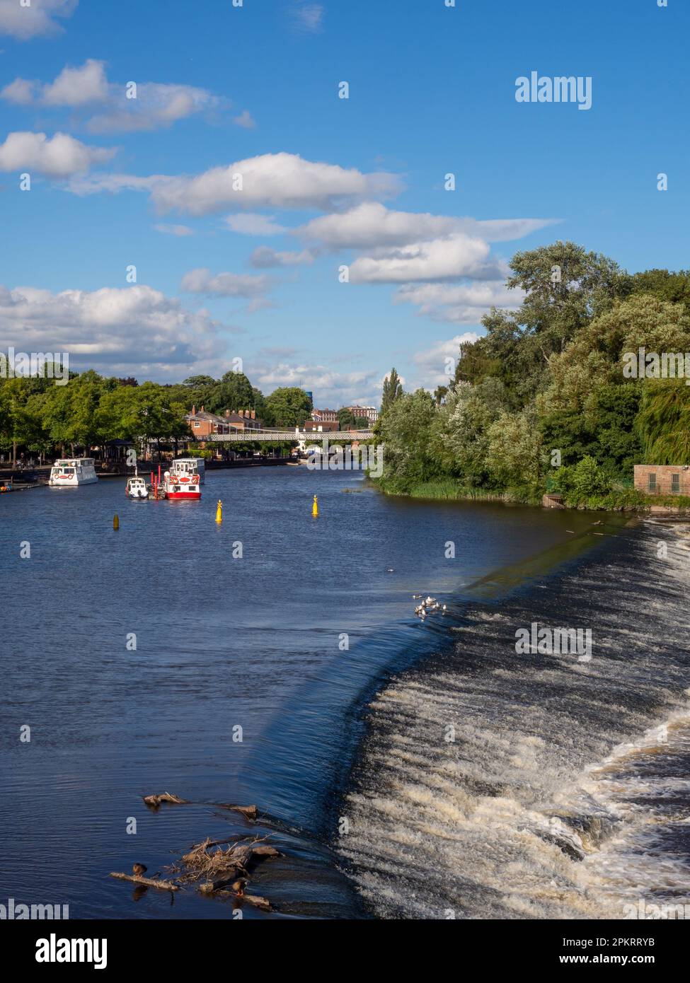 Weir and tourist sightseeing boats on the River Dee, Chester, Cheshire ...