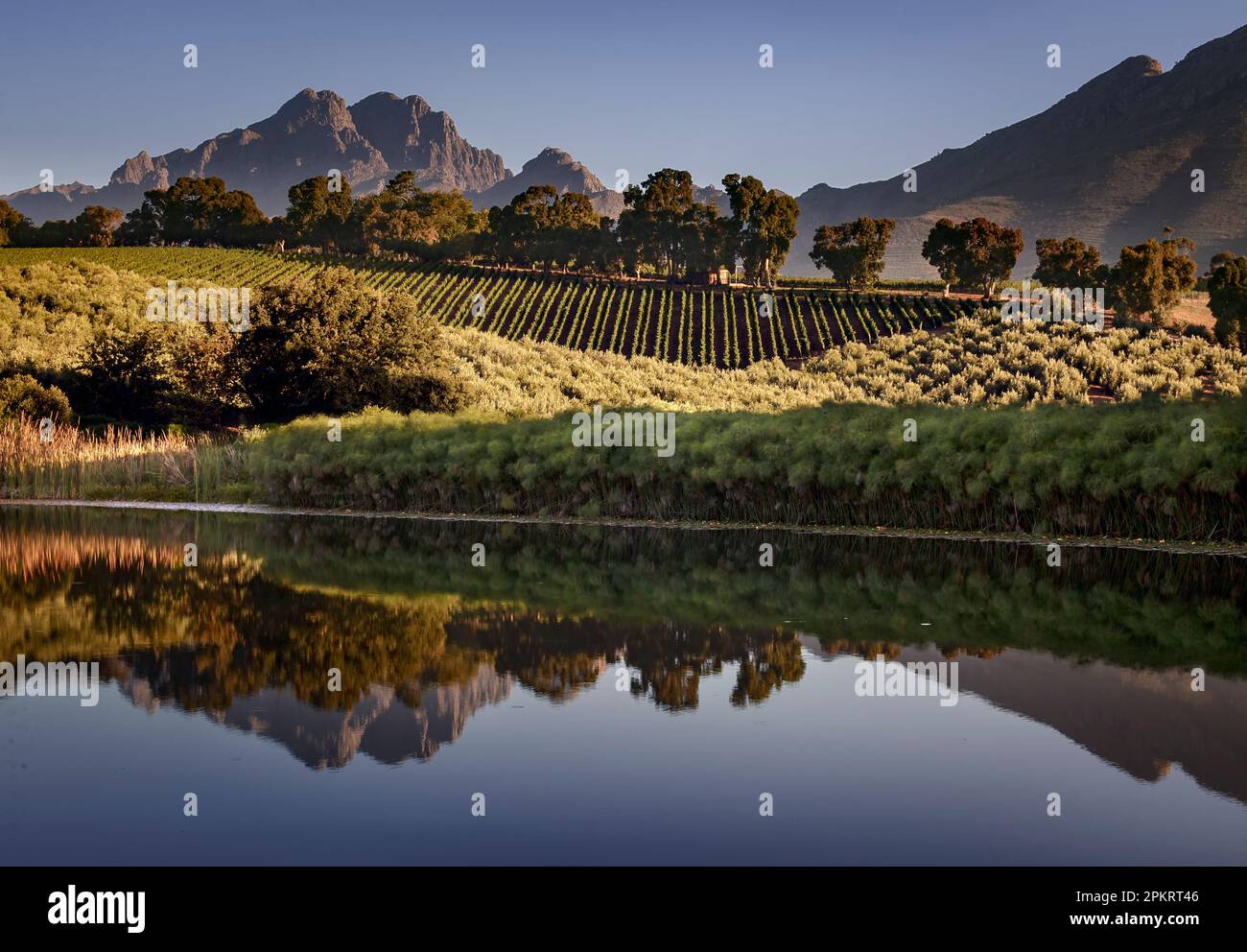 Viw over the lower lake, vineyards and olive groves of Tokara Wine ...