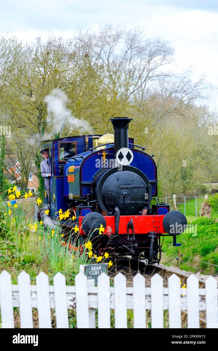 Vintage steam engine approaching Tenterden station, on the Kent & East ...