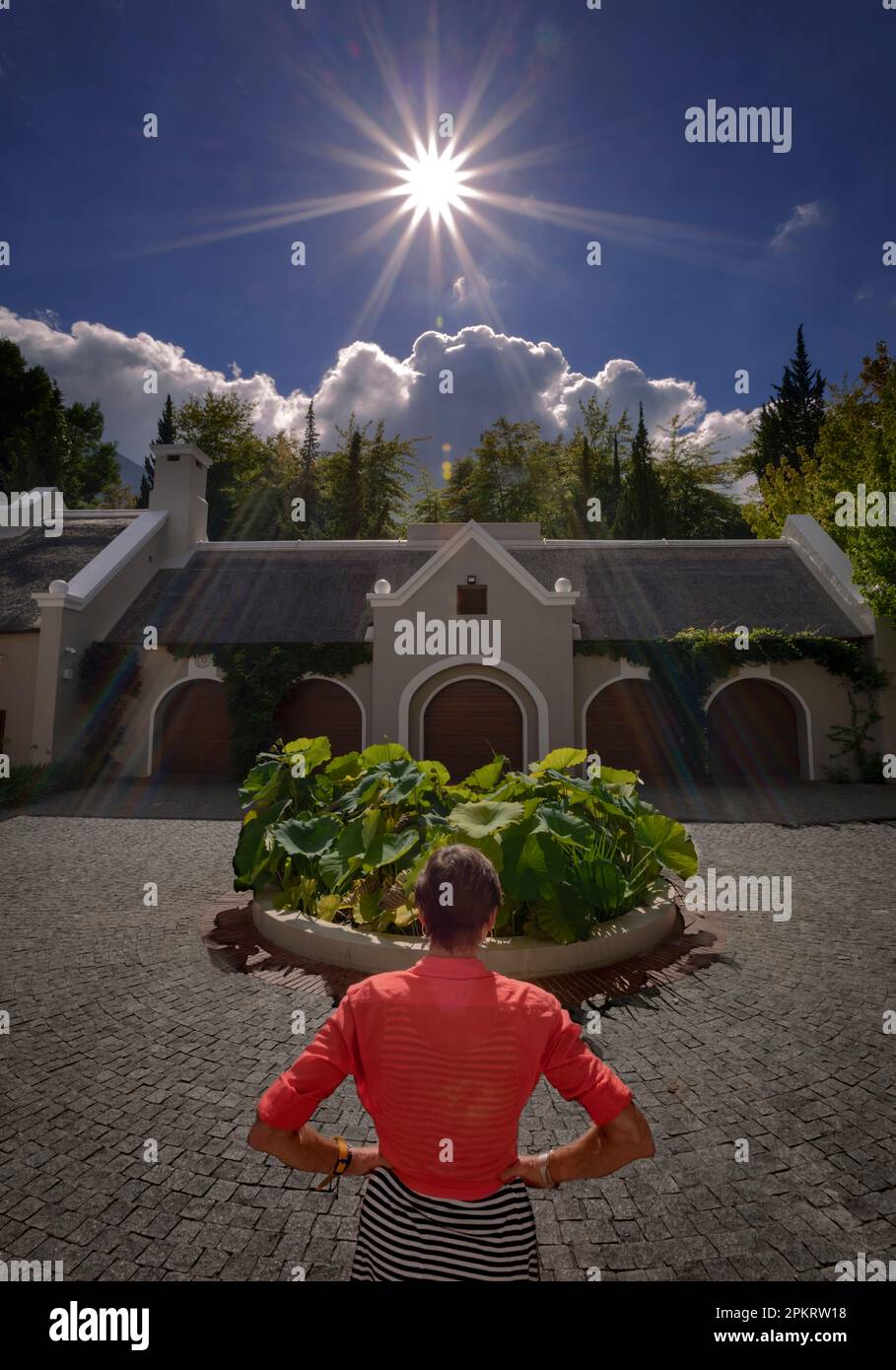 The morning sun lights up the entrance driveway of the Tokara house ...