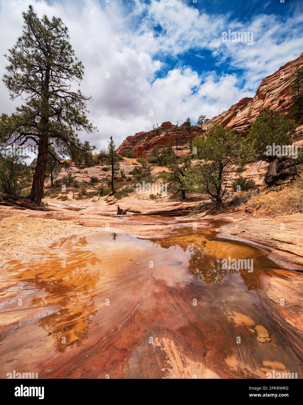 Reflective spring pools hi-res stock photography and images - Alamy