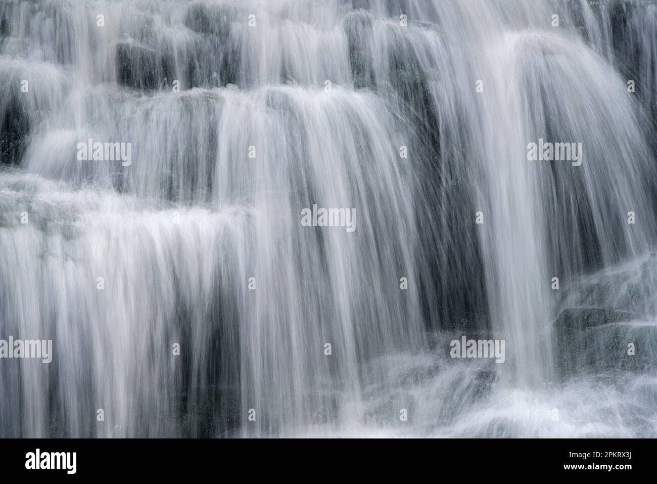 Spring flow in Shays Run at Blackwater Falls State Park outside Davis ...