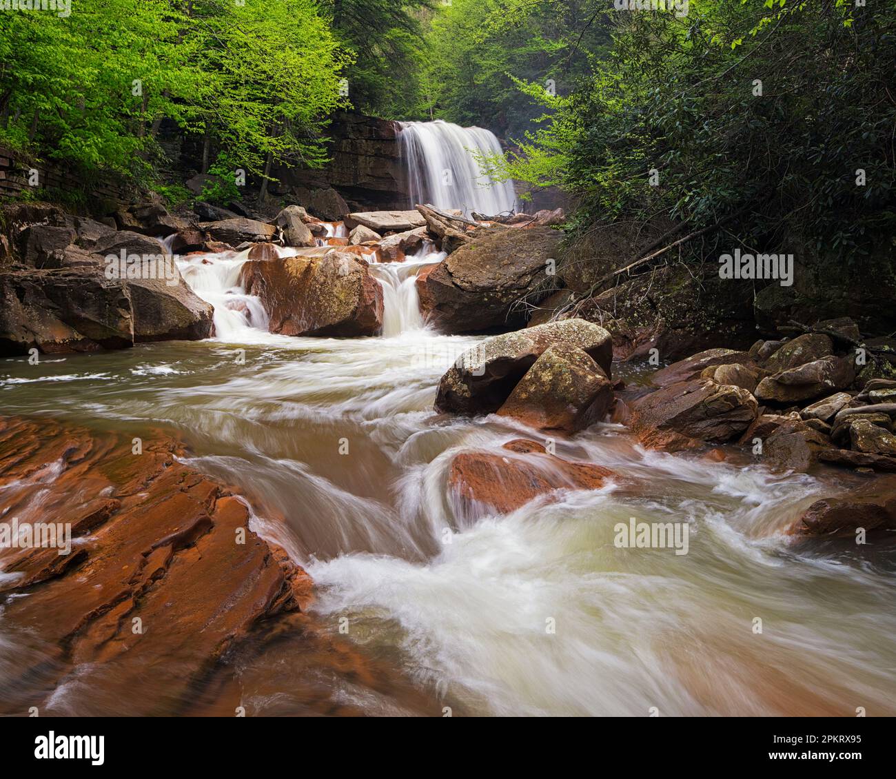 Douglas Falls in spring near Thomas, West Virginia Stock Photo - Alamy