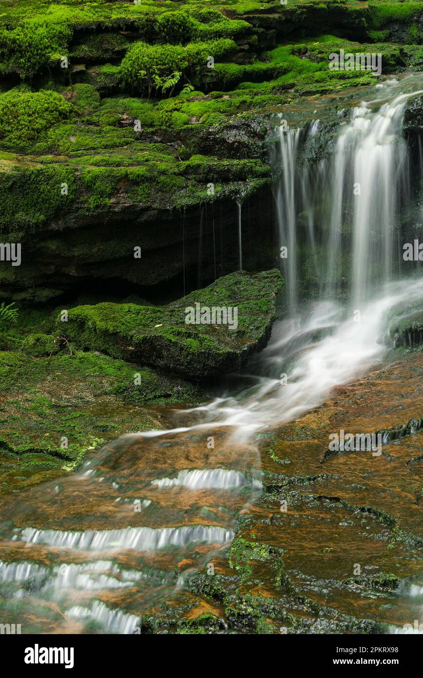 Spring flow in Shays Run at Blackwater Falls State Park outside Davis ...