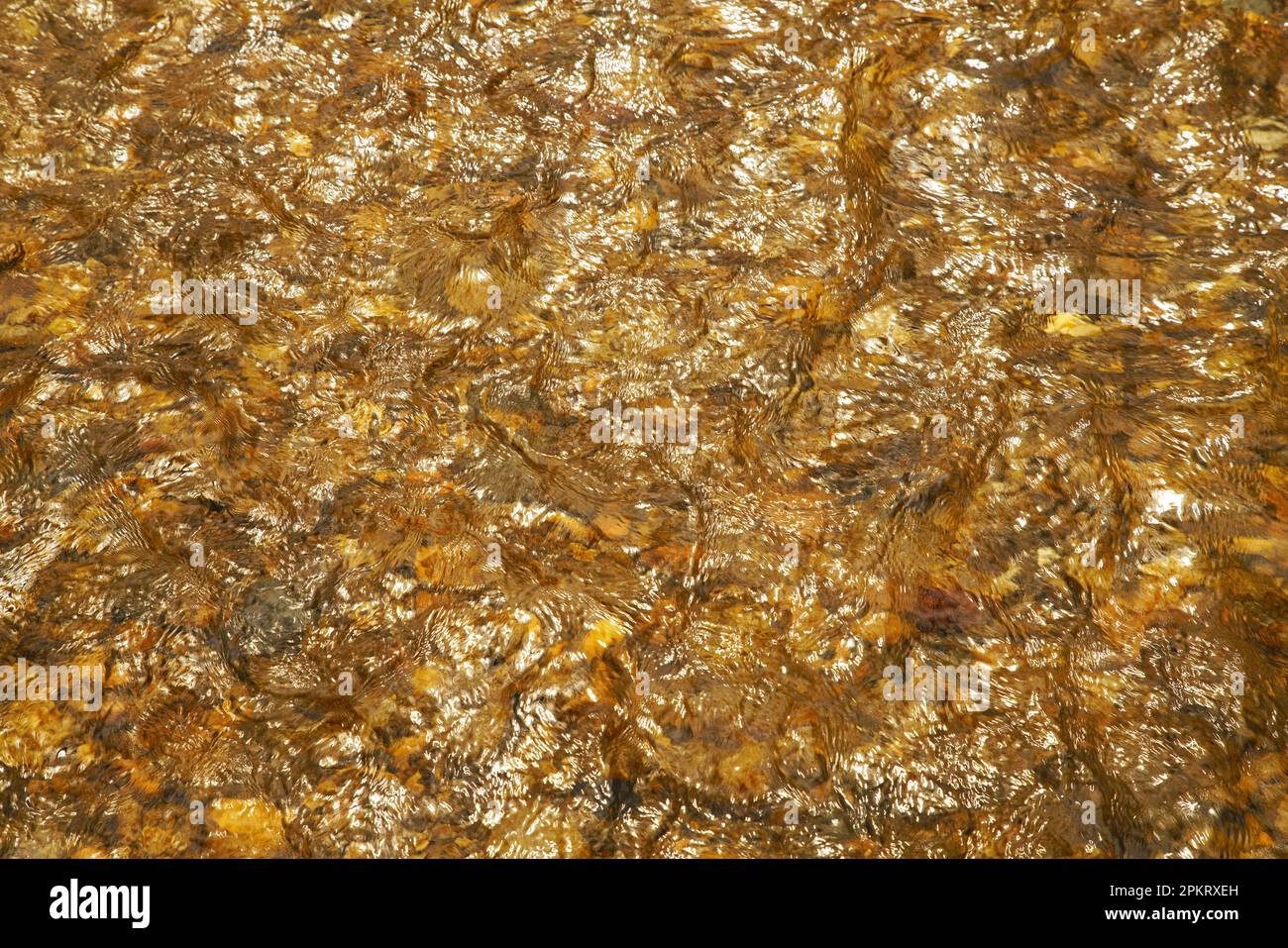 Gold dappled light hi-res stock photography and images - Alamy