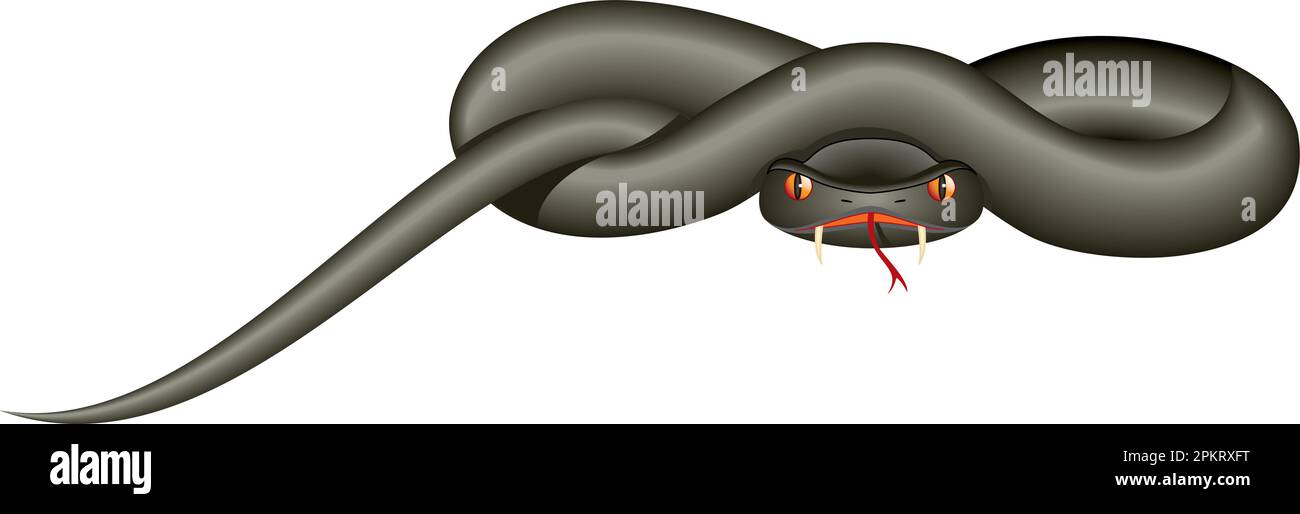 Curious Black Snake looking at YOU! Saved as Adobe Illustrator 8.0 for ...