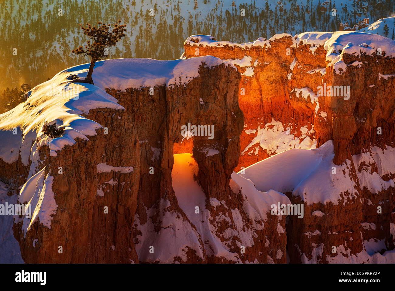 Winter sunrise light over Bryce Canyon National Park in Utah from ...