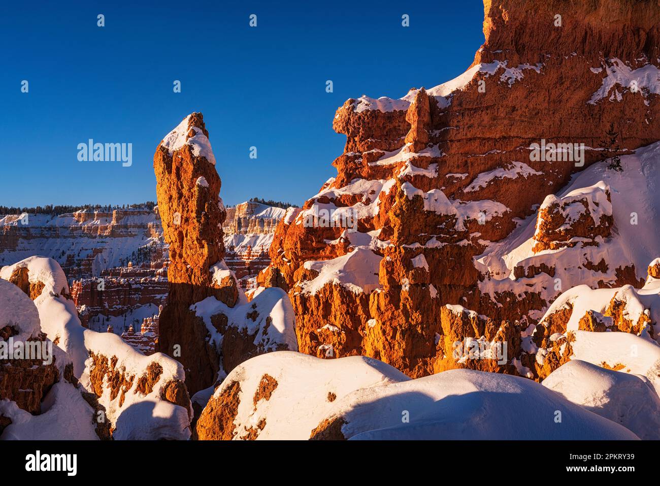Winter sunrise light over Bryce Canyon National Park in Utah from ...
