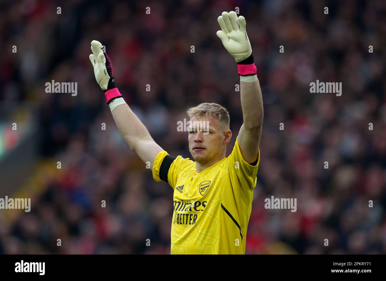 Aaron ramsdale april 2023 hi-res stock photography and images - Alamy