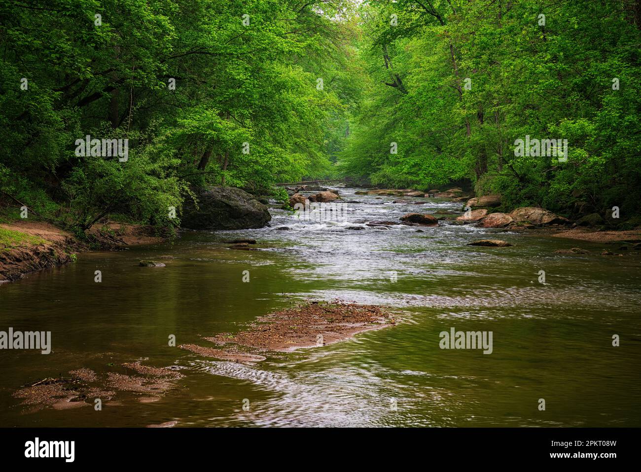 Spring color along the Middle Patuxent River in Howard County, Maryland ...