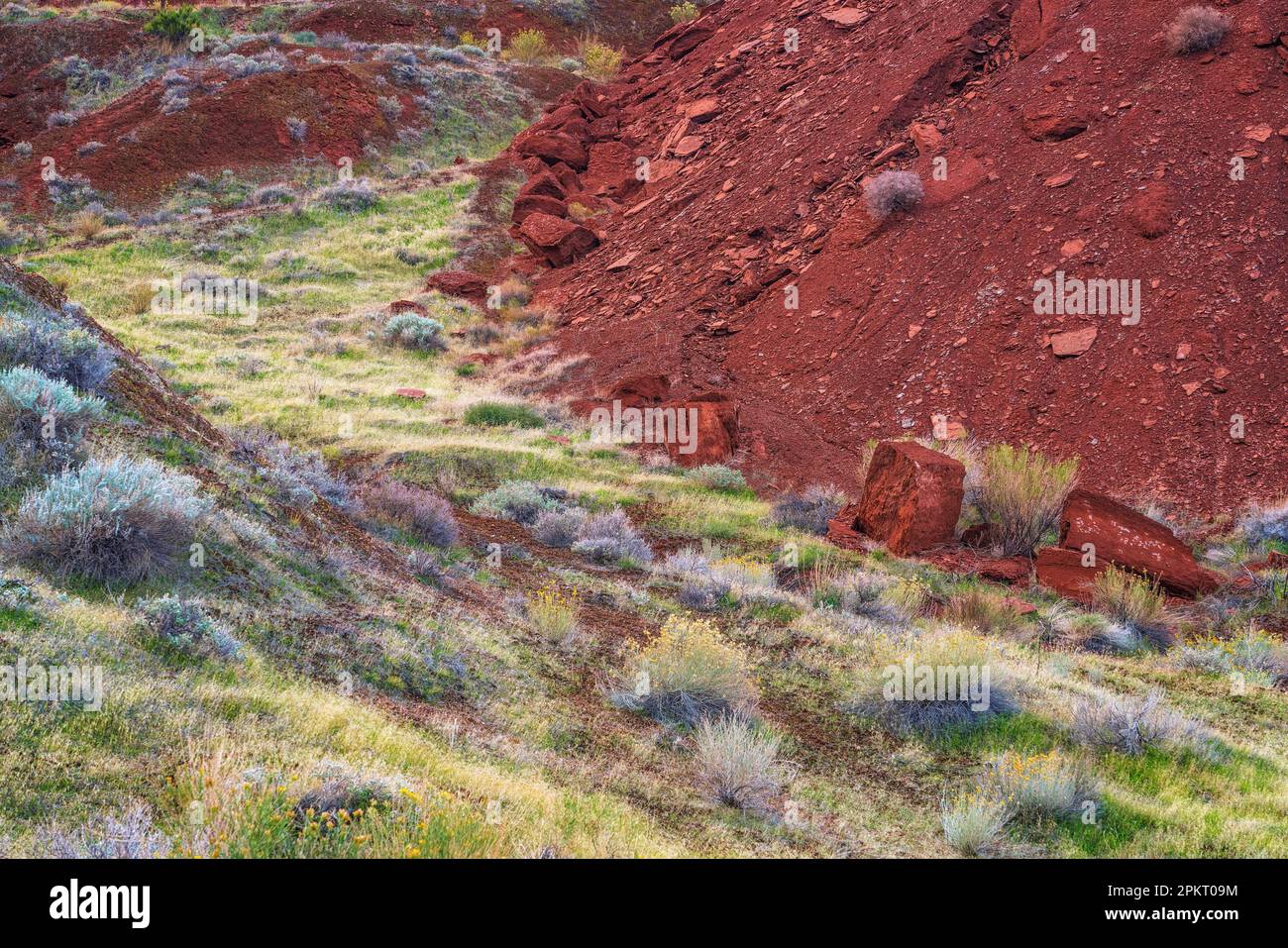 Colorful flora and geology in Castle Valley near Moab, Utah Stock Photo ...