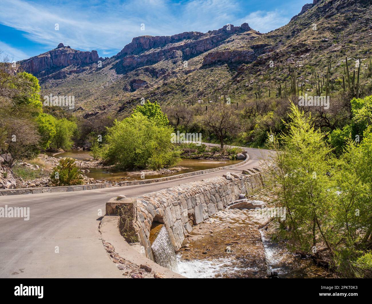 Bridge, Sabino Canyon, Santa Catalina Mountains outside Tucson, Arizona ...
