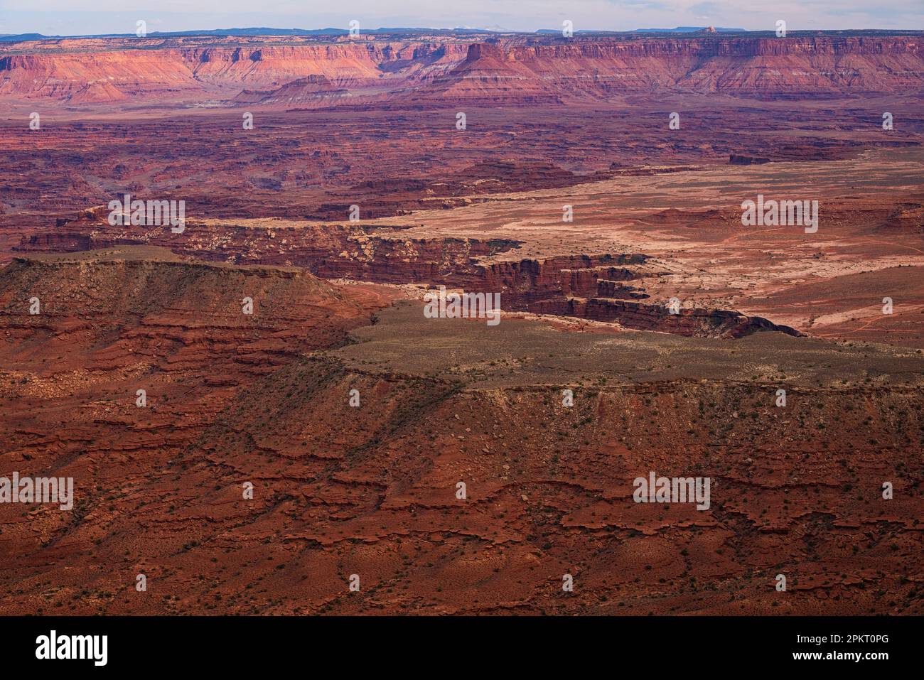Dramatic Canyonlands National Park from the Buck Canyon Overlook Stock ...