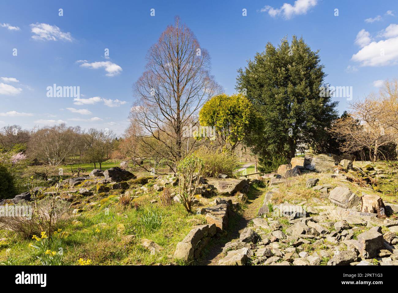 Rock garden in Hortus Botanicus in Haren Municipality Groningen in ...