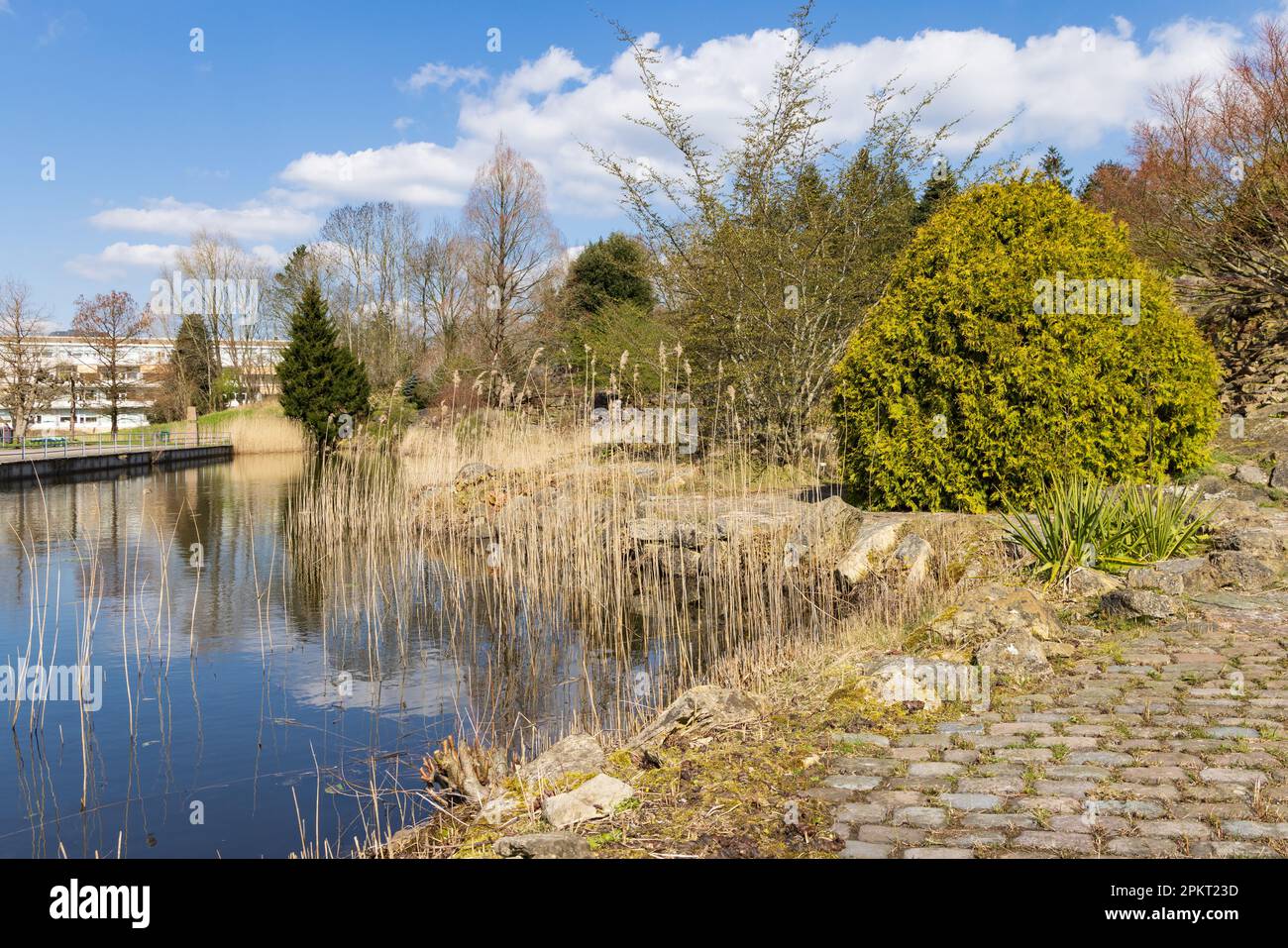 Pond along rock garden in Hortus Botanicus in Haren Municipality ...