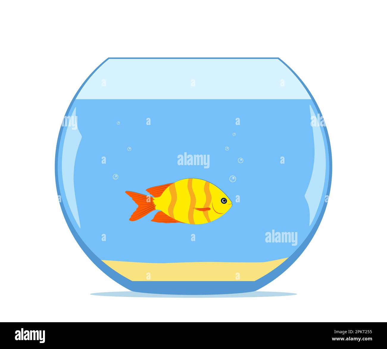 Cute little fish in aquarium. Colorful exotic fish in a fishbowl with ...