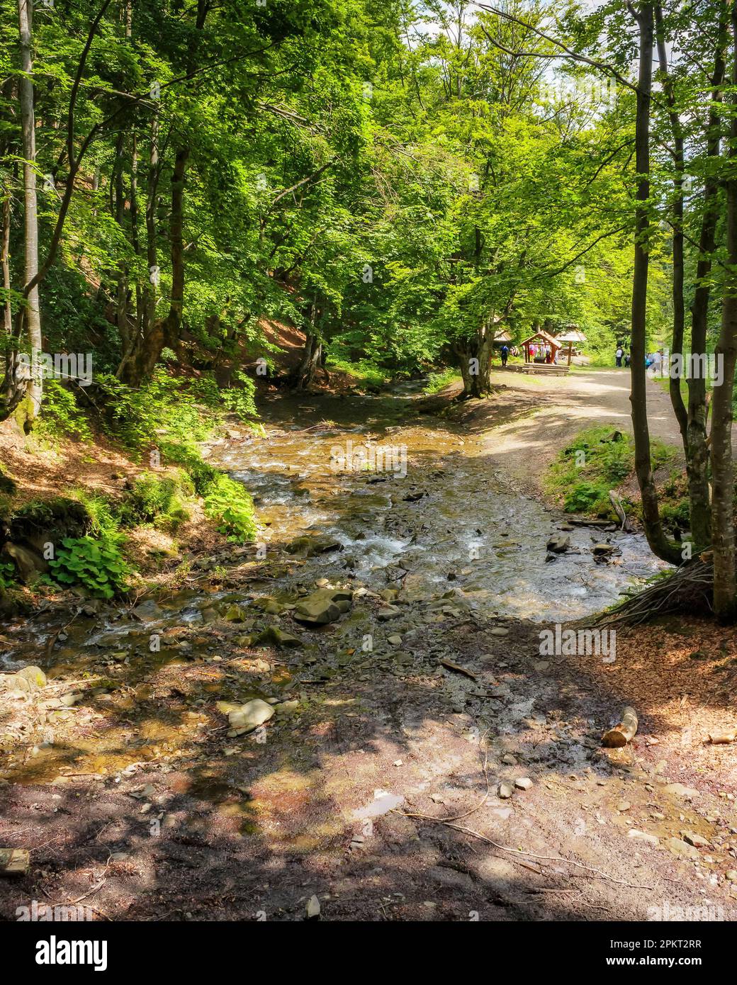 Outdoor scenery and woods hi-res stock photography and images - Alamy