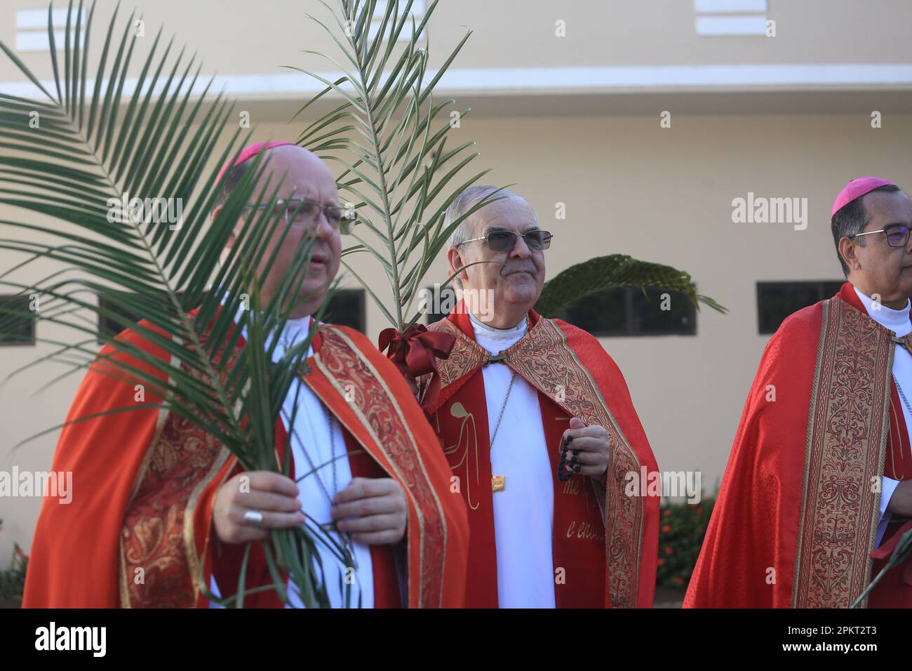 salvador, bahia, brazil - april 2, 2023: Catholics celebrate Palm ...