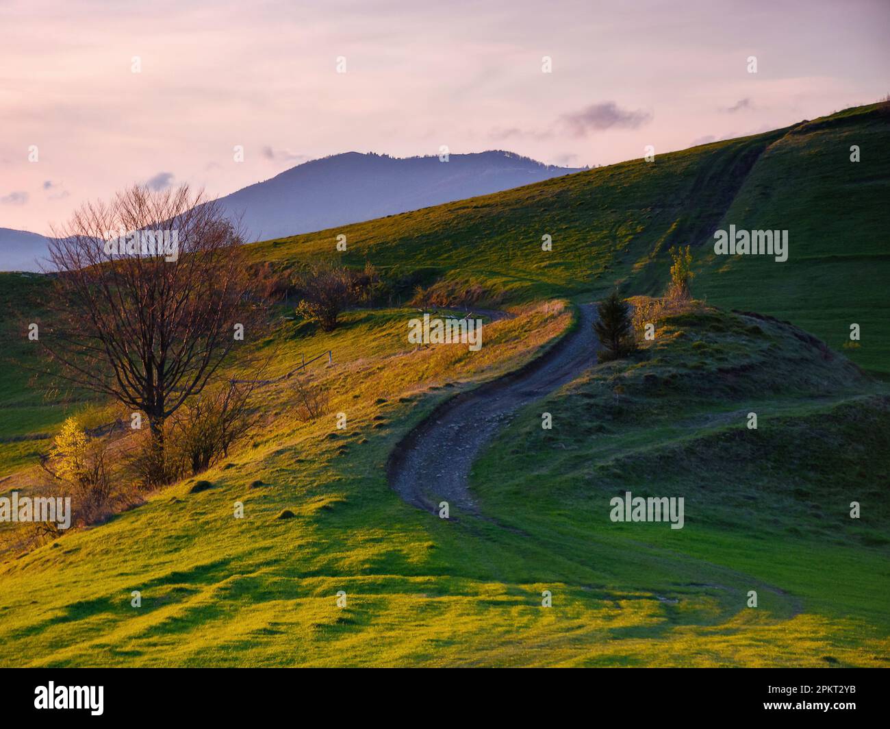 natural beauty of the rural landscape. grassy rolling hills in evening ...