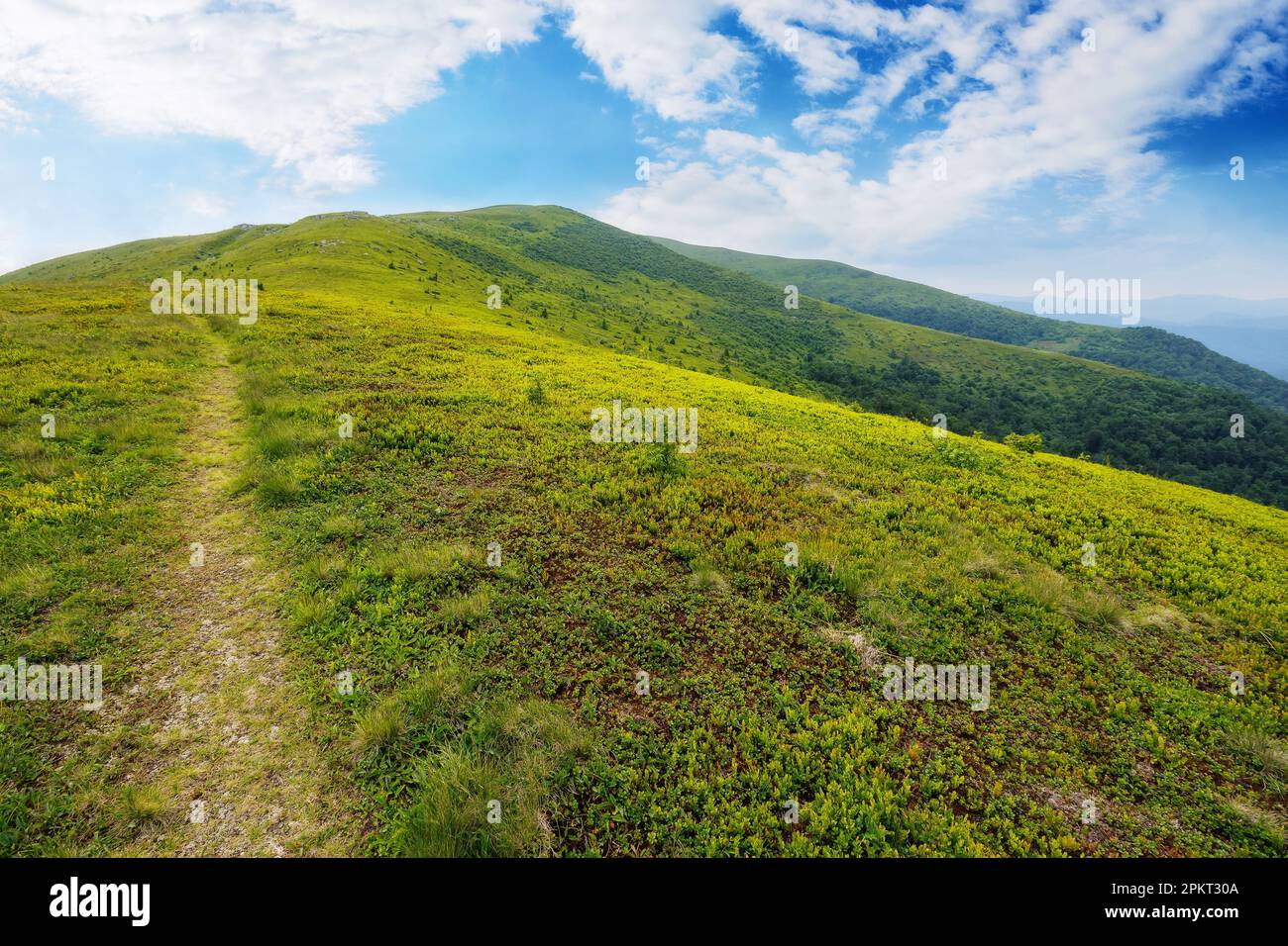 steep path up the hill. carpathian mountain landscape in summer. hard ...