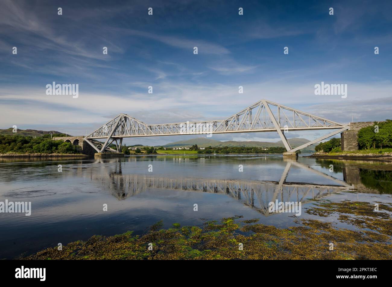 Laura seaweed hi-res stock photography and images - Alamy