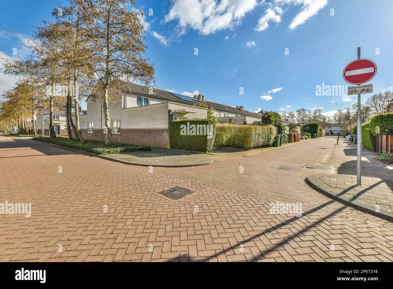 a stop sign in the middle of a bricked street with trees and bushes on ...