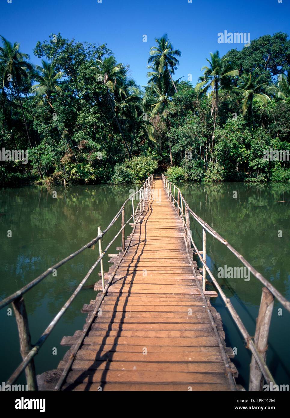 Spice plantation goa india hi-res stock photography and images - Alamy