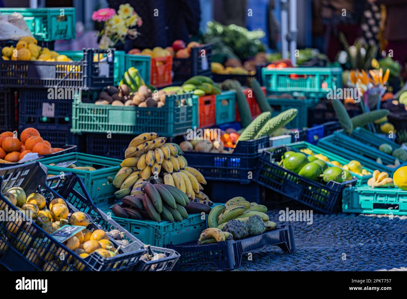 Fresh healthy bio fruits and vegetables on Santana market. Madeira ...