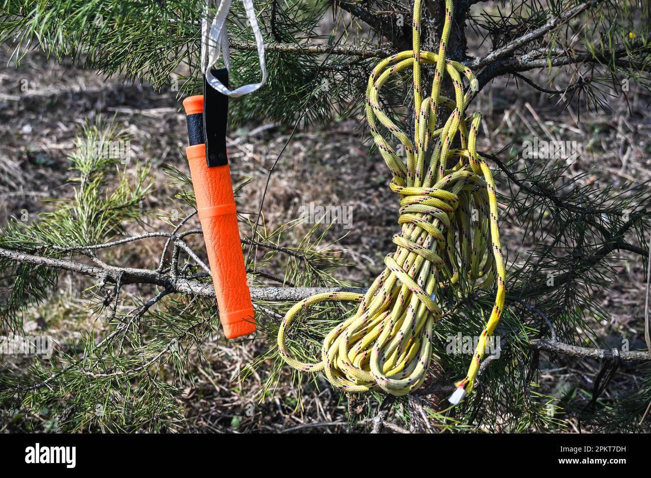 Bushcraft equipment. Knife and rope lit by the sun Stock Photo - Alamy