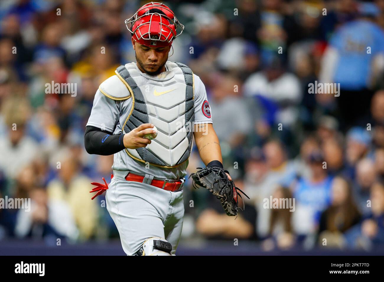 April 8, 2023: St. Louis Cardinals catcher Willson Contreras (40) looks ...
