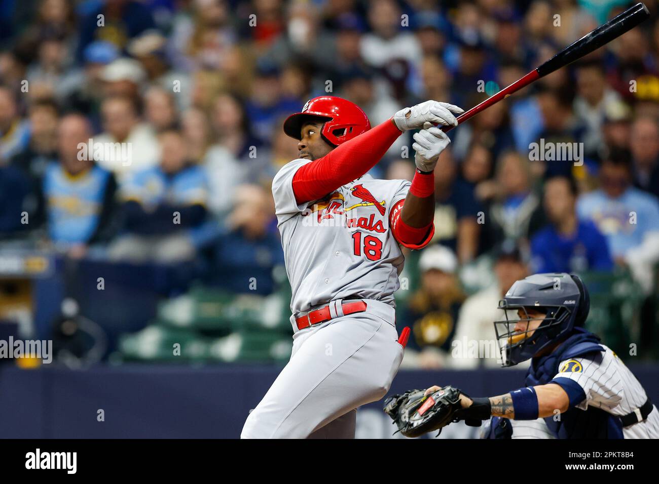 Jordan walker cardinals hi-res stock photography and images - Alamy