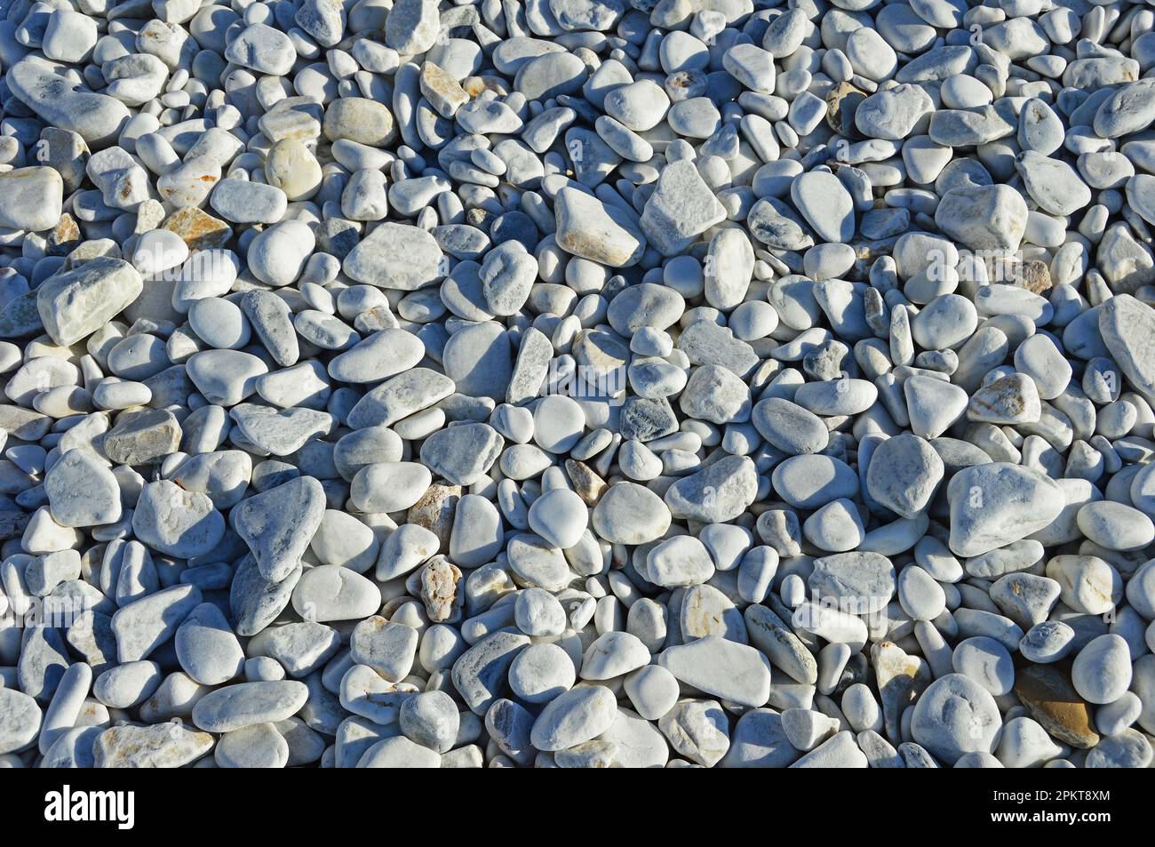Different sized oval and round marble pebbles on the coast of the ...