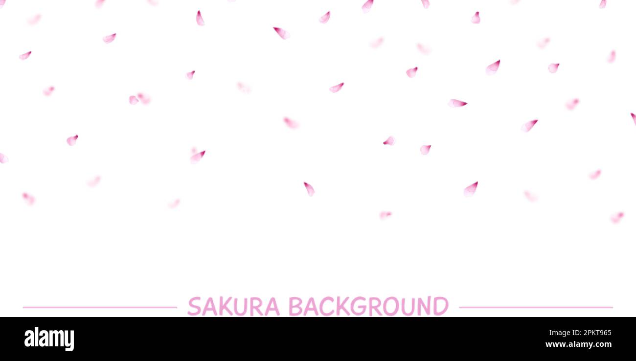 Falling Sakura Petals Gif