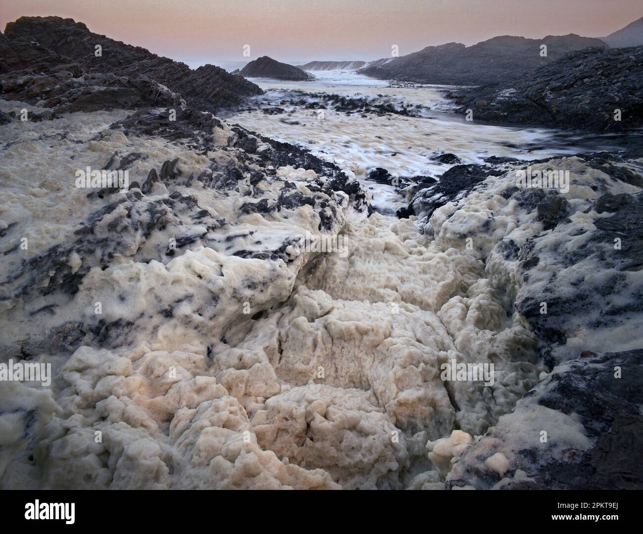 Atlantic Ocean foam builds up in the gully's near Grosse Bucht on the ...