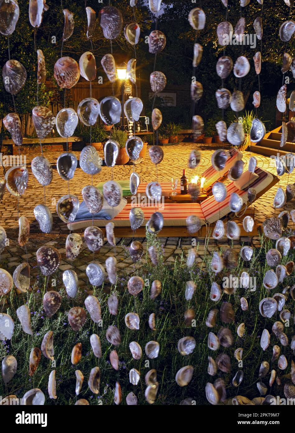 Venus ears hi-res stock photography and images - Alamy