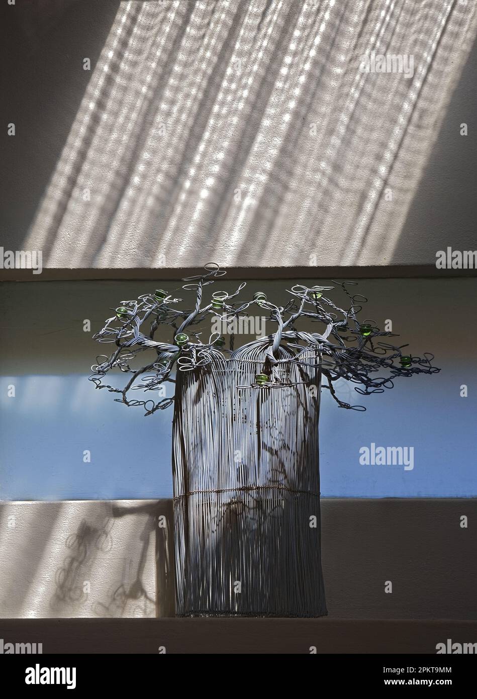 The light from a sunroof falls on a wire Baobab. The South African ...