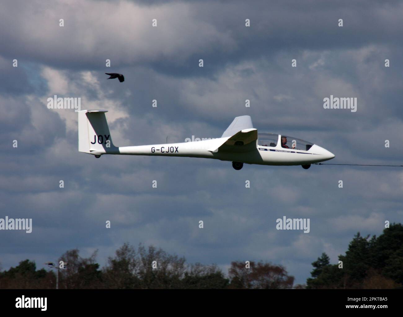A Schleicher ASK-21 glider departs a private airfield West Sussex Stock ...