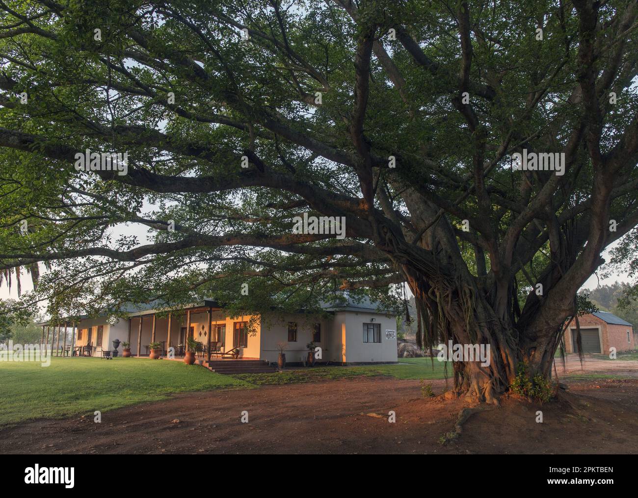 The Country Charm Guest House catches the sunrise next to a giant Wild ...