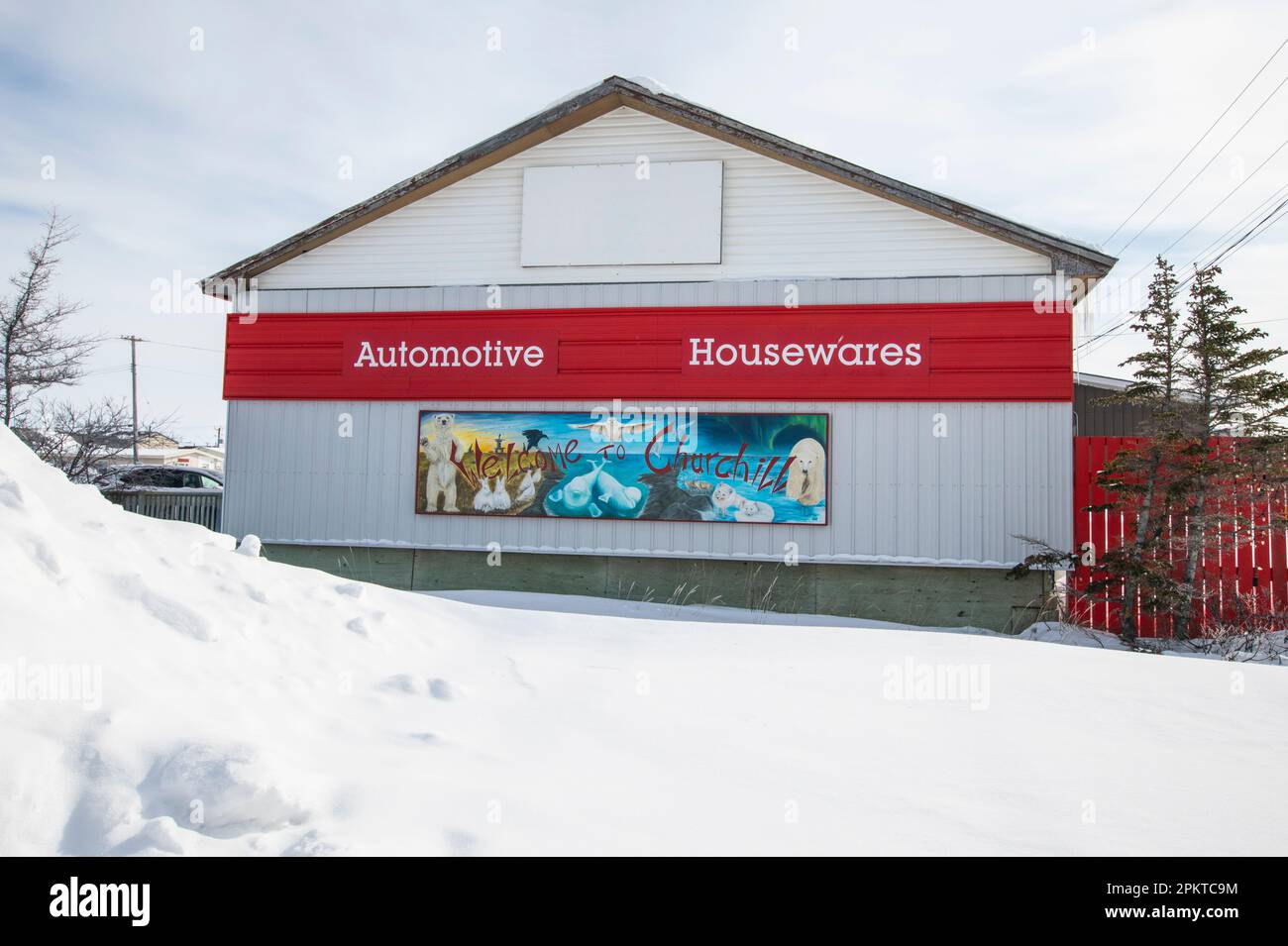 Polar bear and beluga whales mural on Home Hardware store in Churchill ...