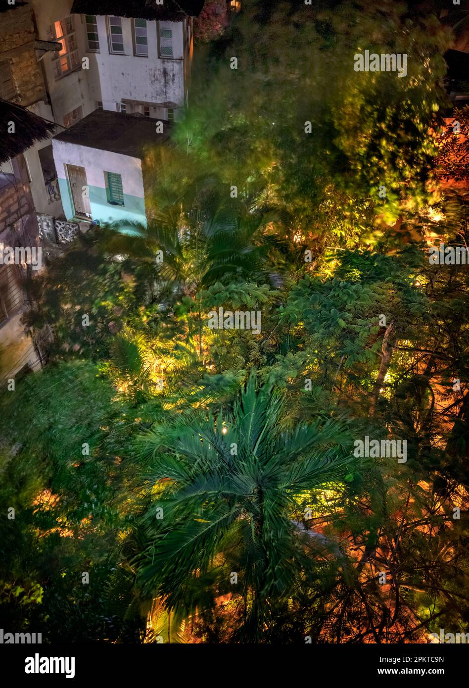A tropical garden seen from the top floor of Shella Royal House on Lamu ...
