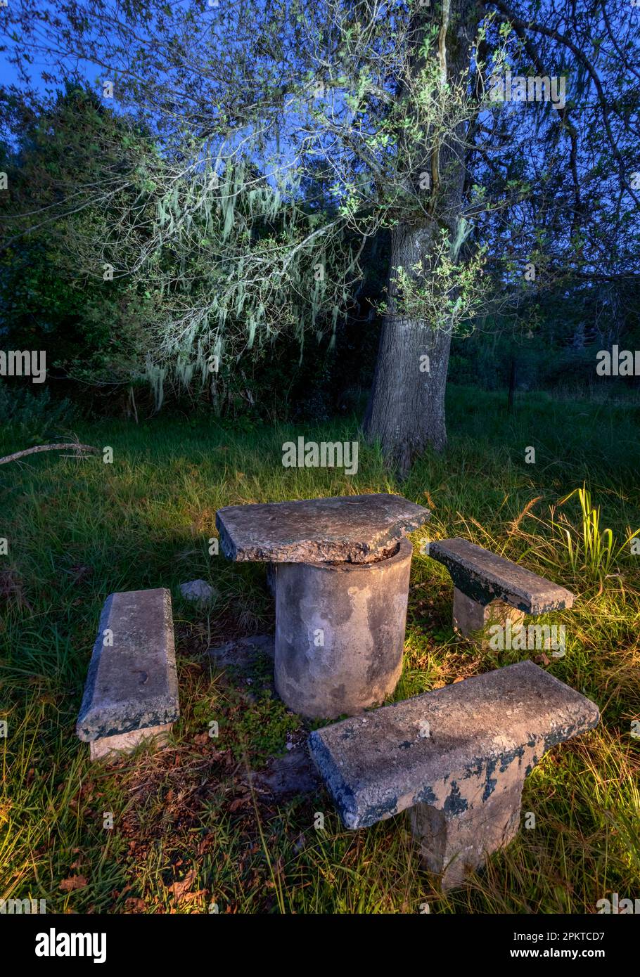 Old roadside picnic benches are now overgrown after the closure of the ...