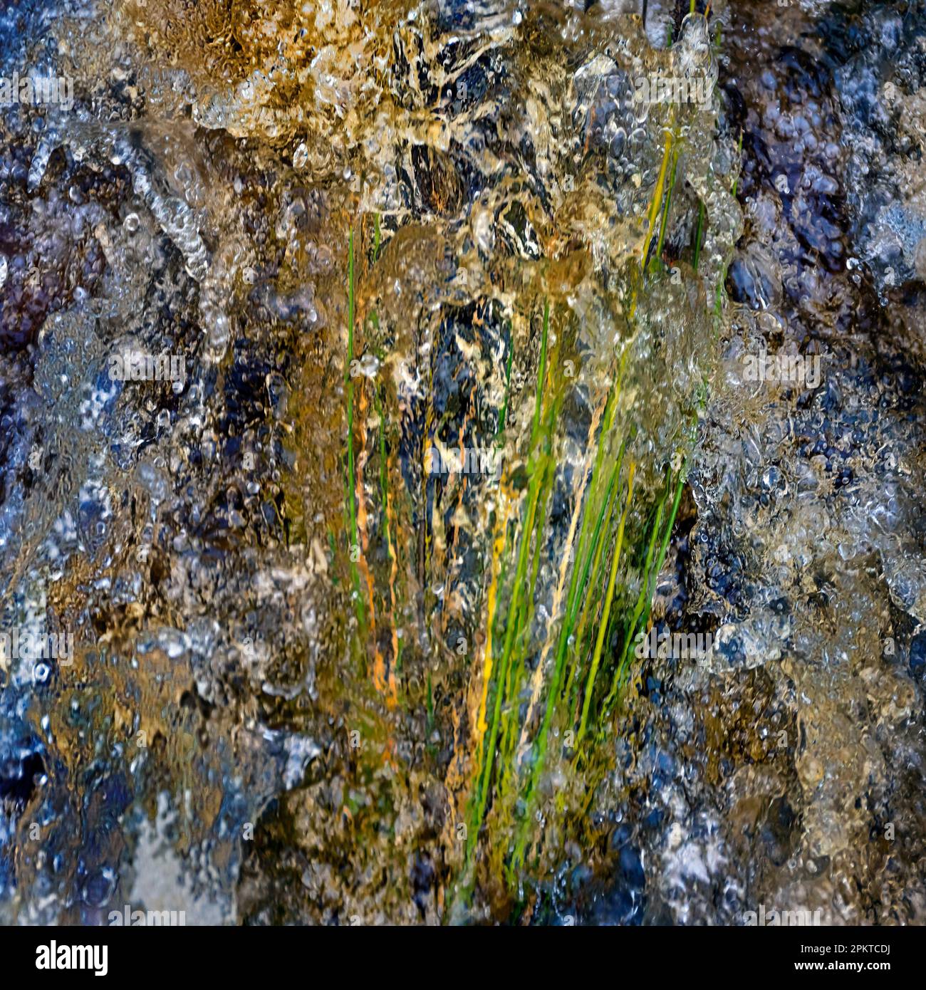 Blaaukrans hi-res stock photography and images - Alamy