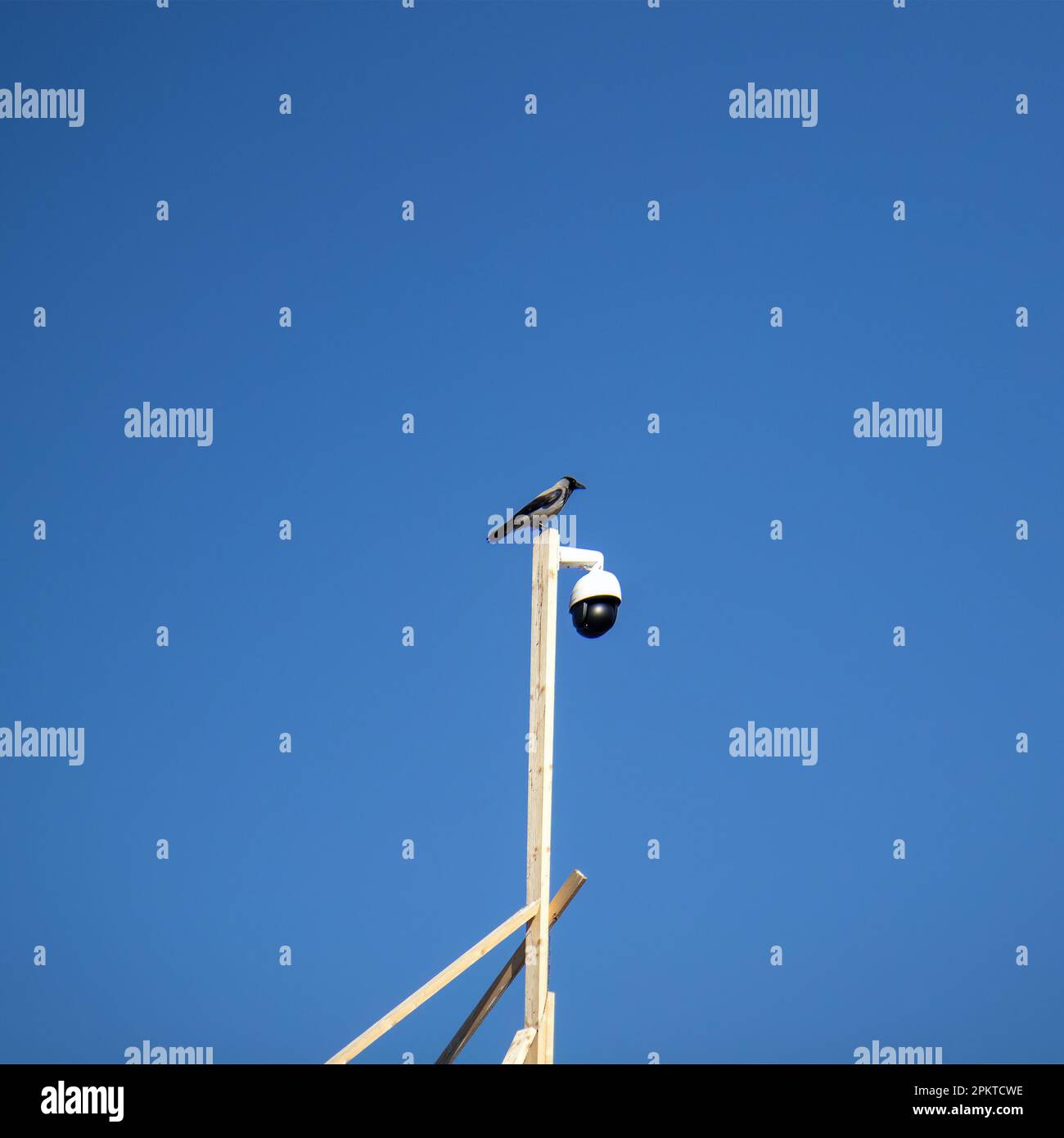 Pole mounted cctv cameras hi-res stock photography and images - Alamy