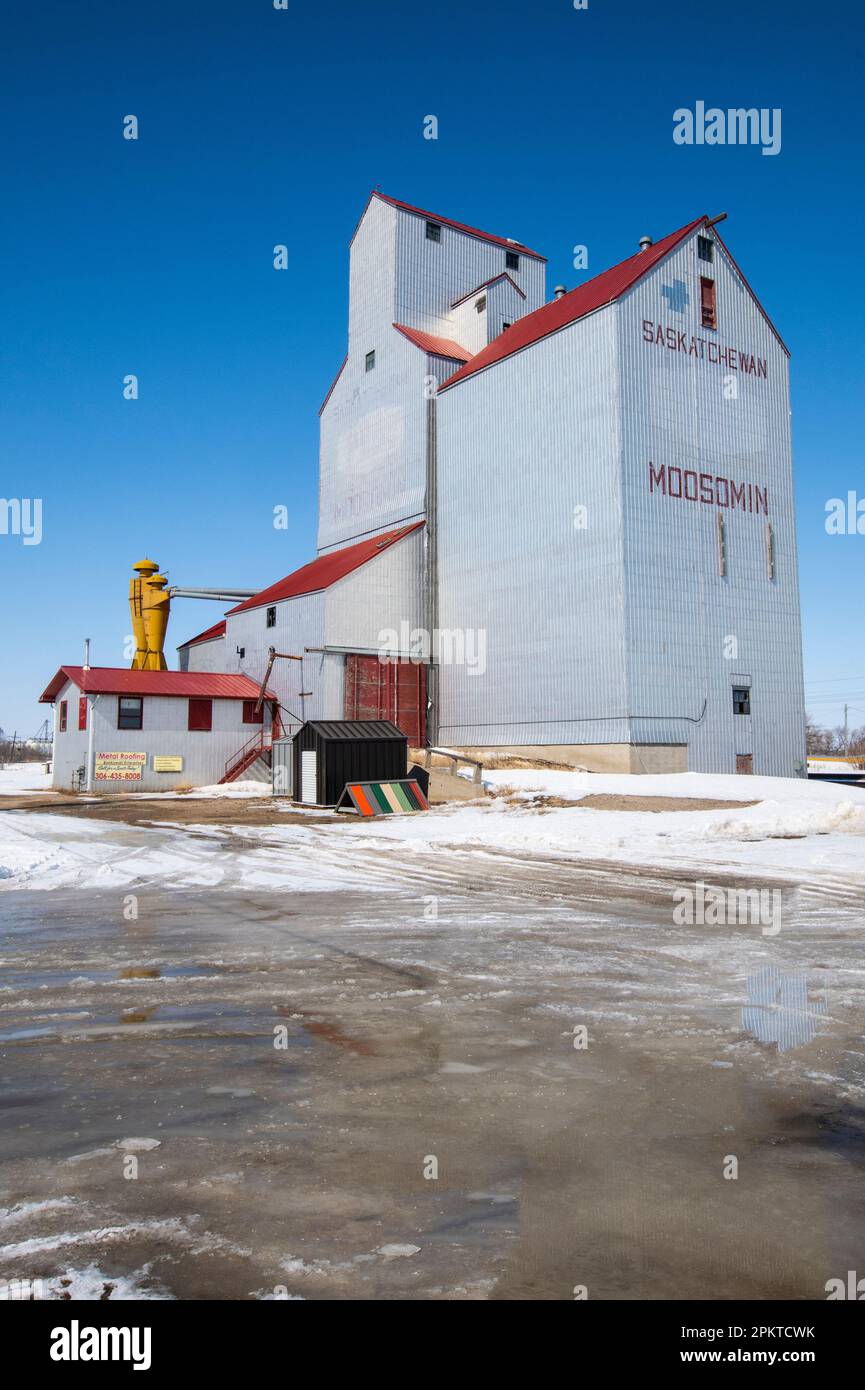 Grain elevator in Moosomin, Saskatchewan, Canada Stock Photo - Alamy