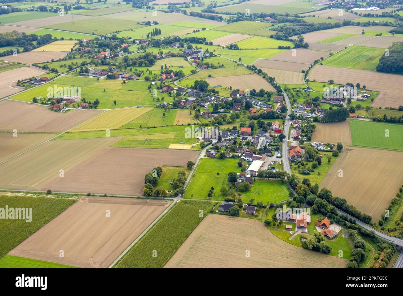 Aerial view, meadows and fields in Norddinker in Uentrop district in ...